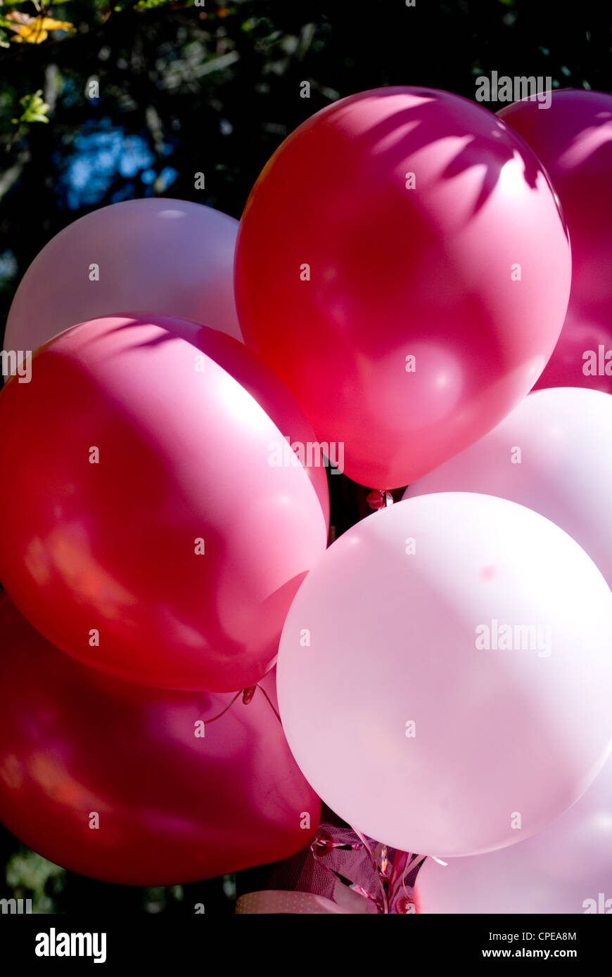 Balloons close up Stock Photo - Alamy