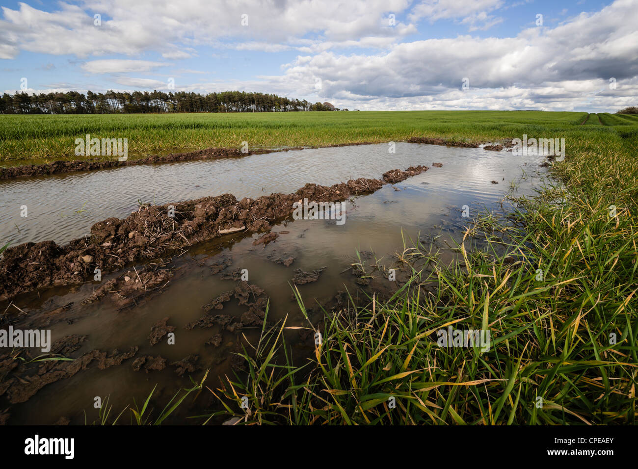 Waterlogged farm field due to heavy rain and poor drainage, near Kelso ...