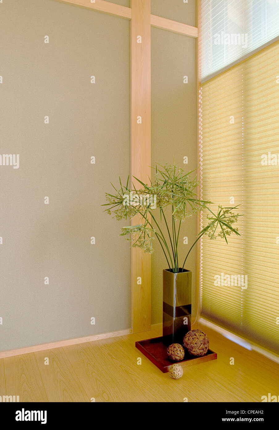 Stylish Plant Pot In Corner Stock Photo - Alamy