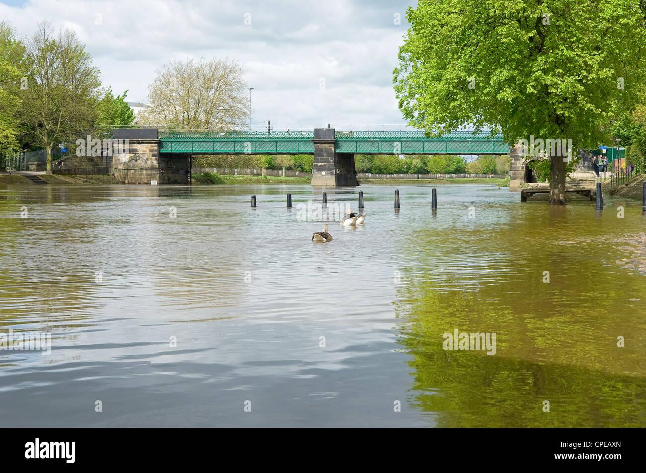 River Ouse in flood floods flooding at Scarborough Bridge York North ...