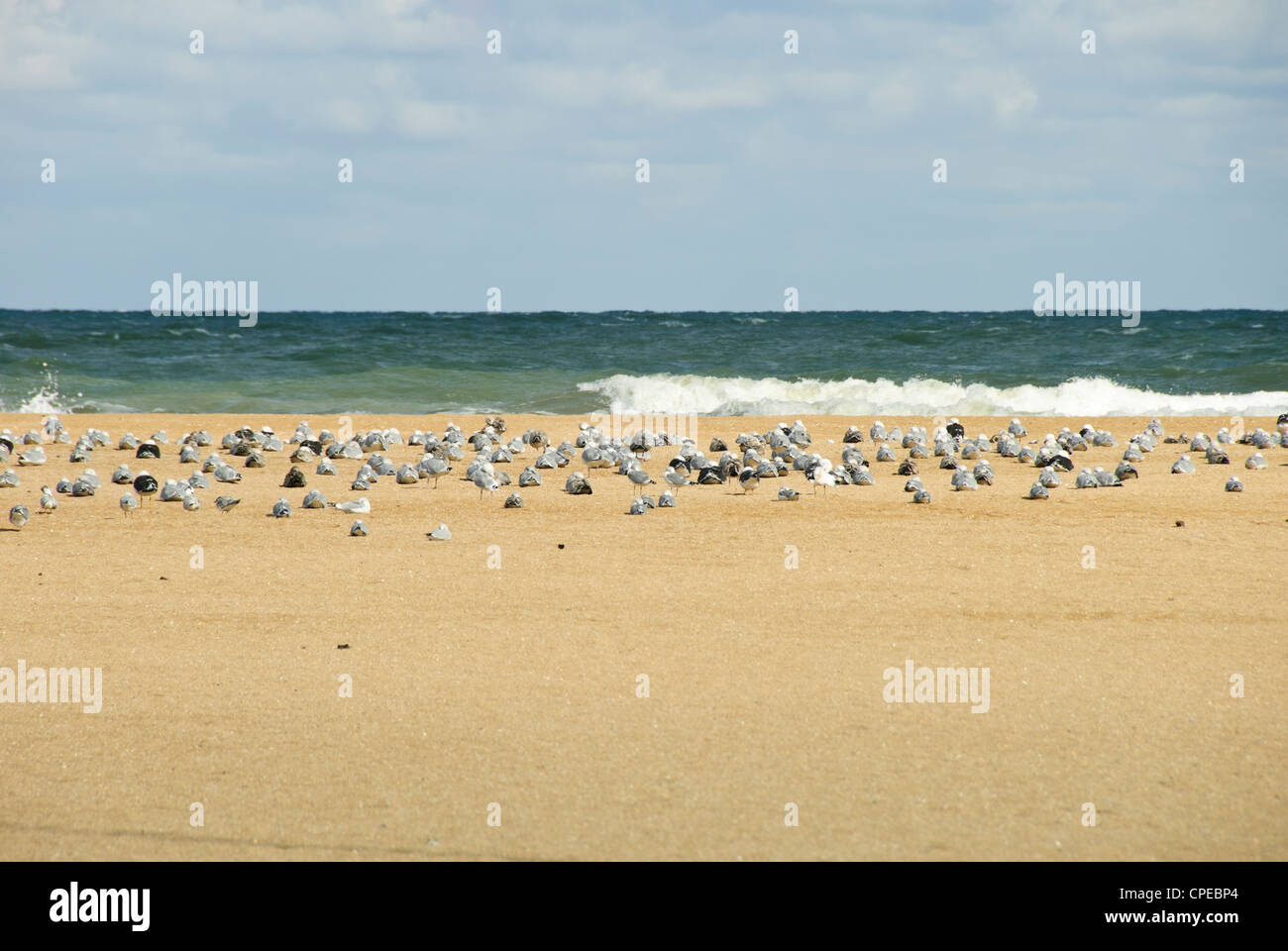 Ouistreham,serves as the port of the city of Caen.The town is about the ...
