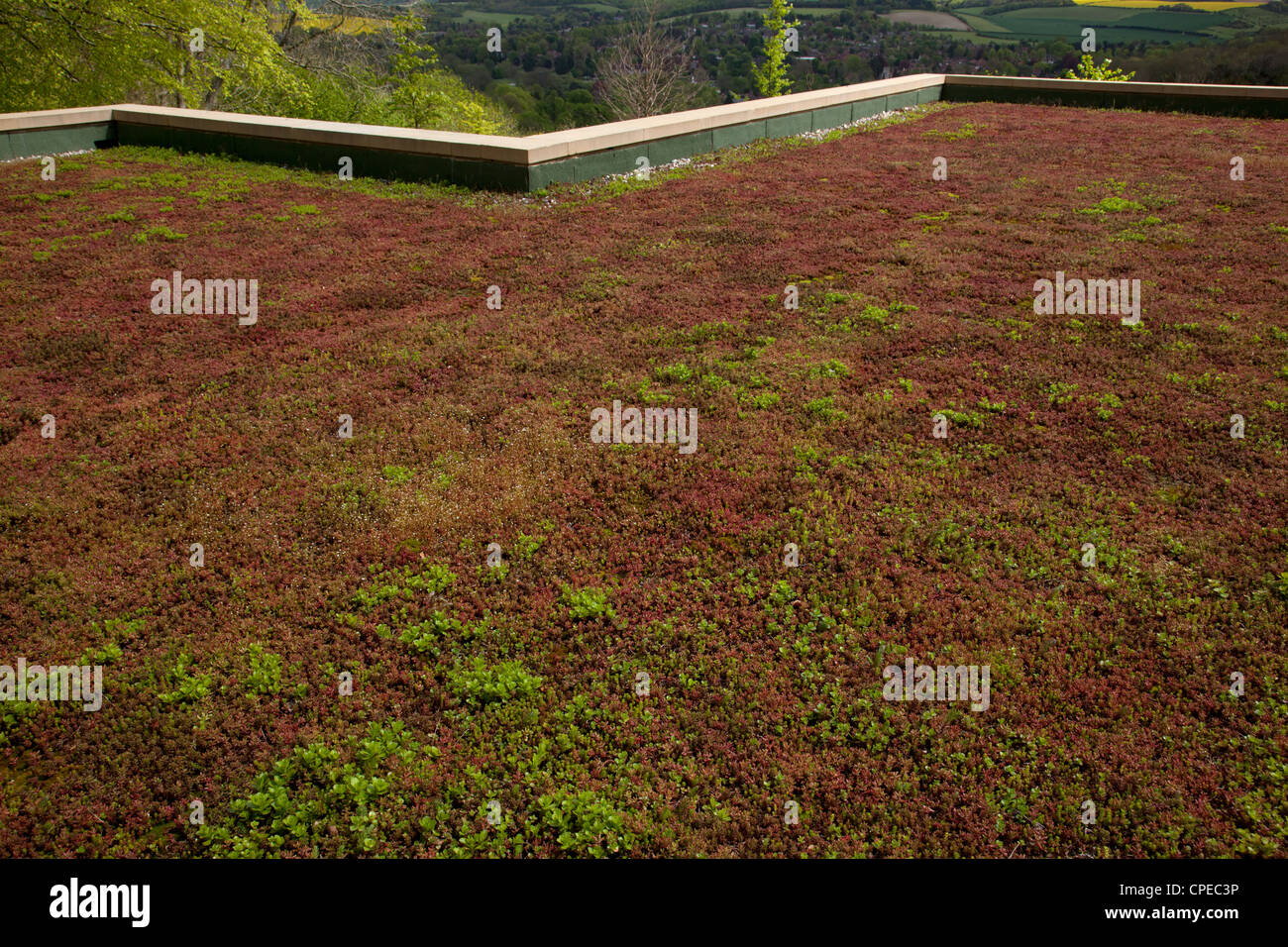 Sedum roof hi-res stock photography and images - Alamy