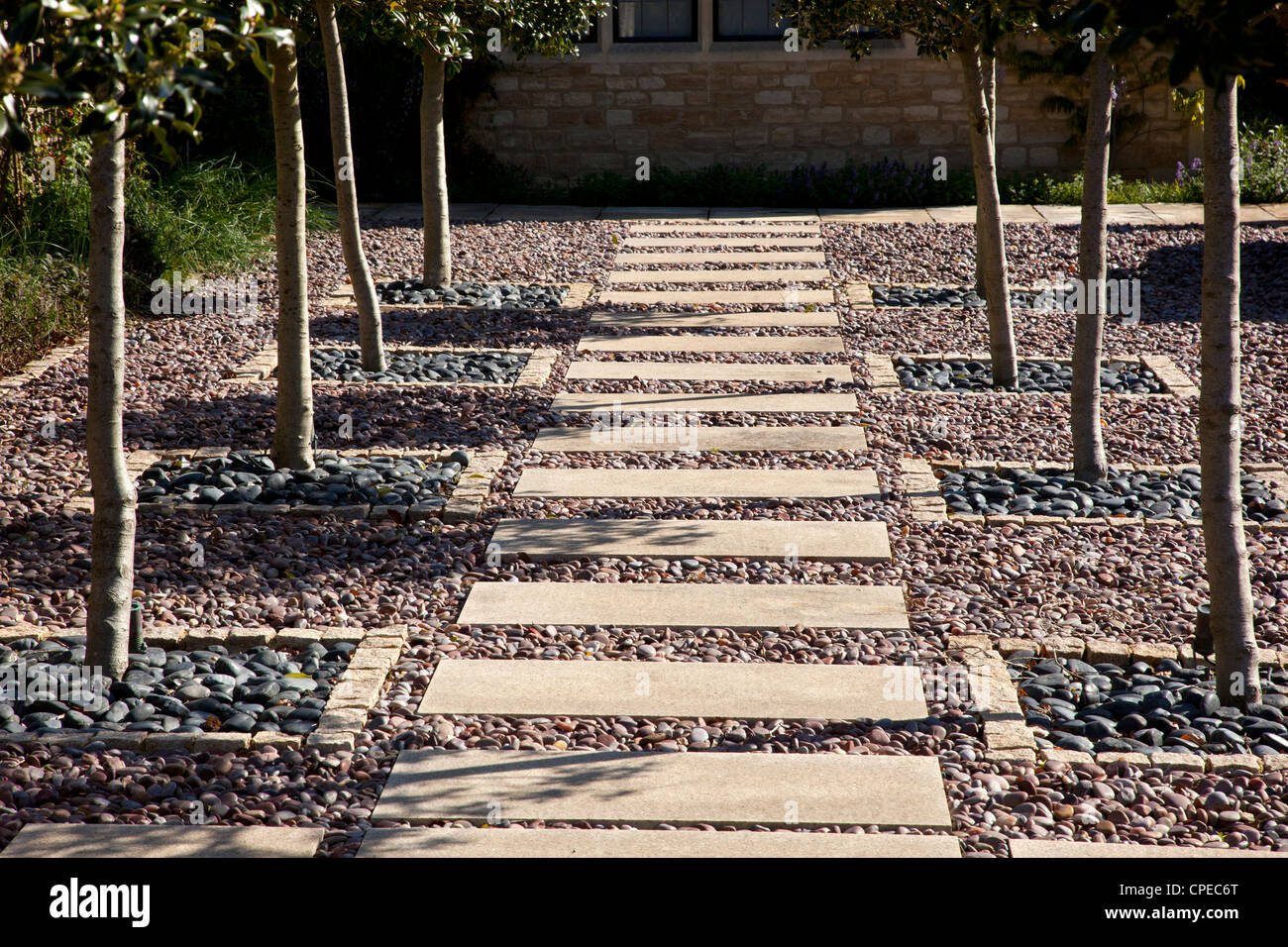 Holly tree lined stone slab path with slate and pebbles in English ...