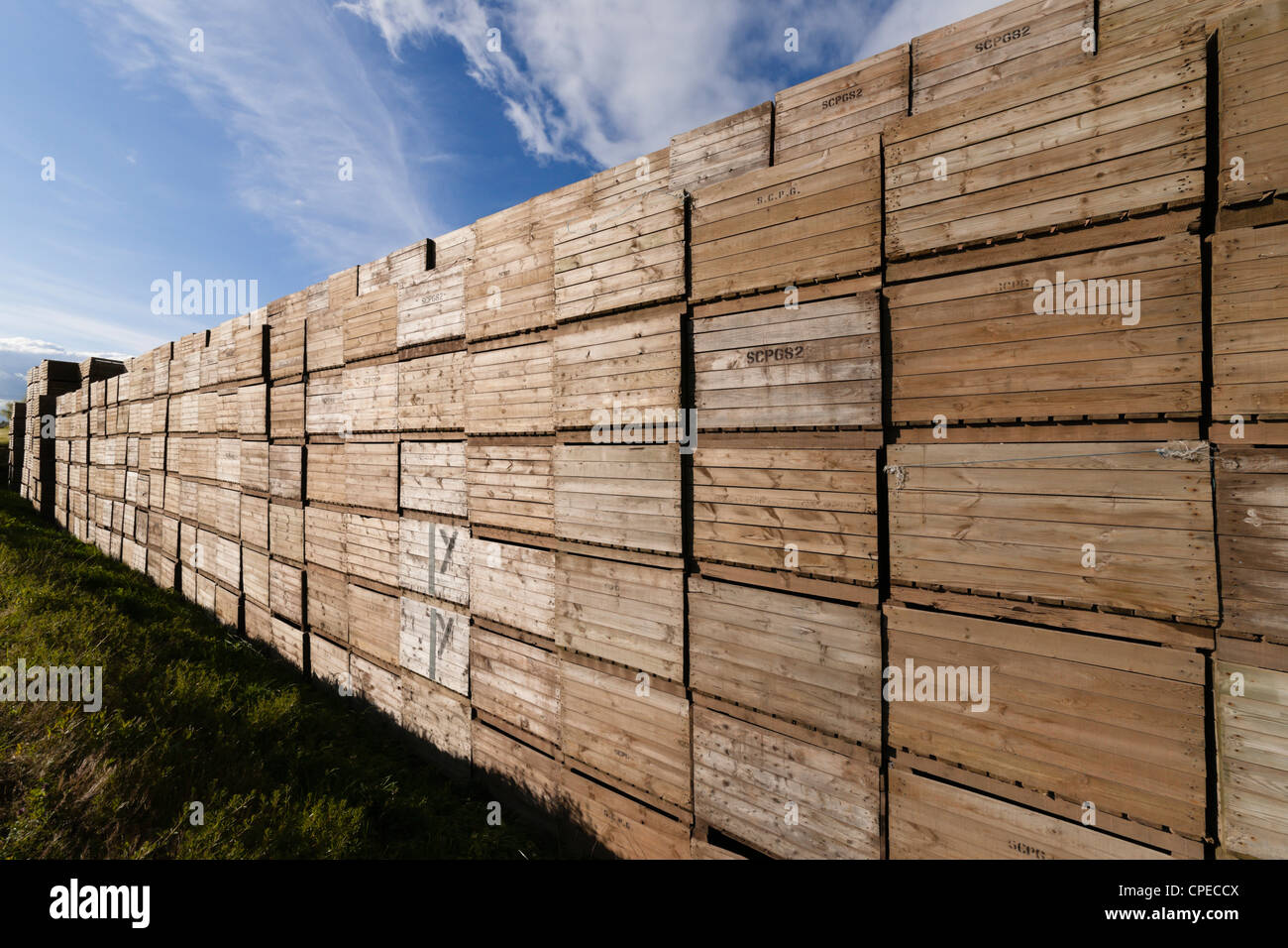 Potato crates at a potato processing plant in the heart of Scottish ...