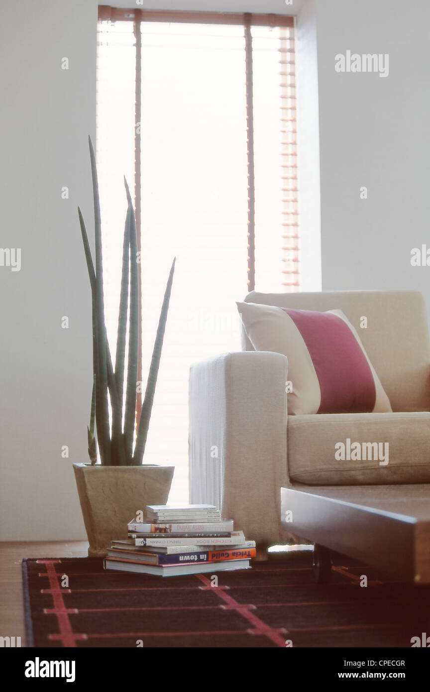 Sofa And Potted Plat Beside Window Stock Photo - Alamy