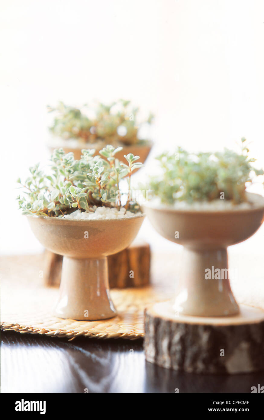 Ceramic pots still life hi-res stock photography and images - Alamy