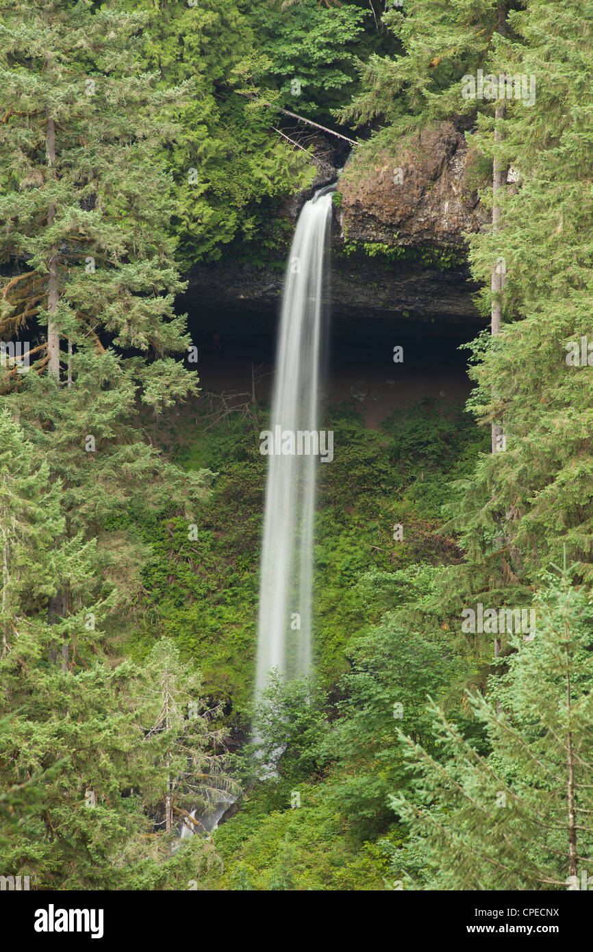North Falls. Silver Falls State Park, Oregon Stock Photo - Alamy