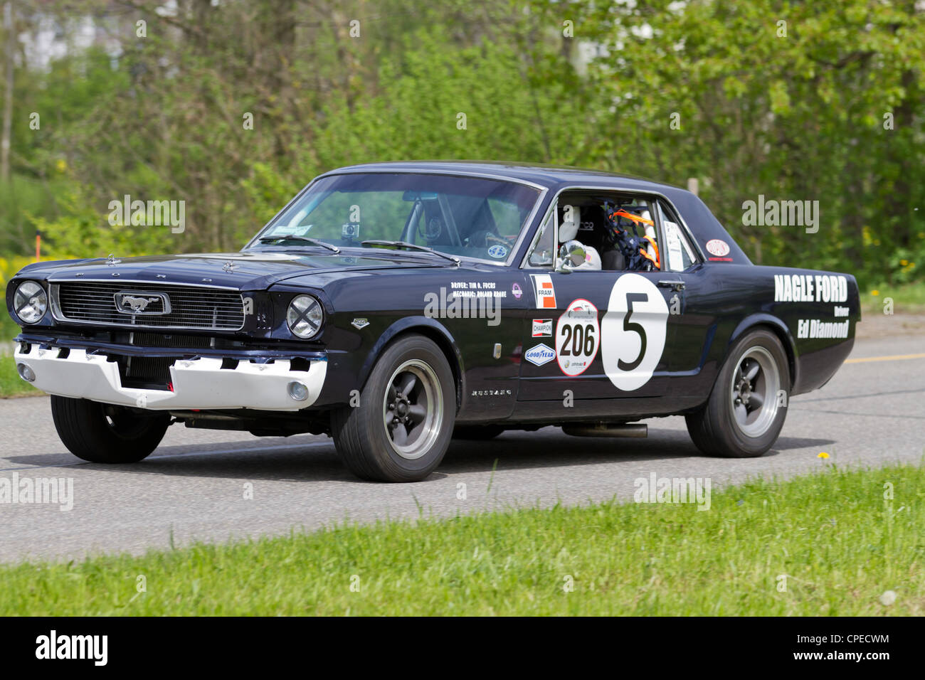 Vintage Racing Mustangs