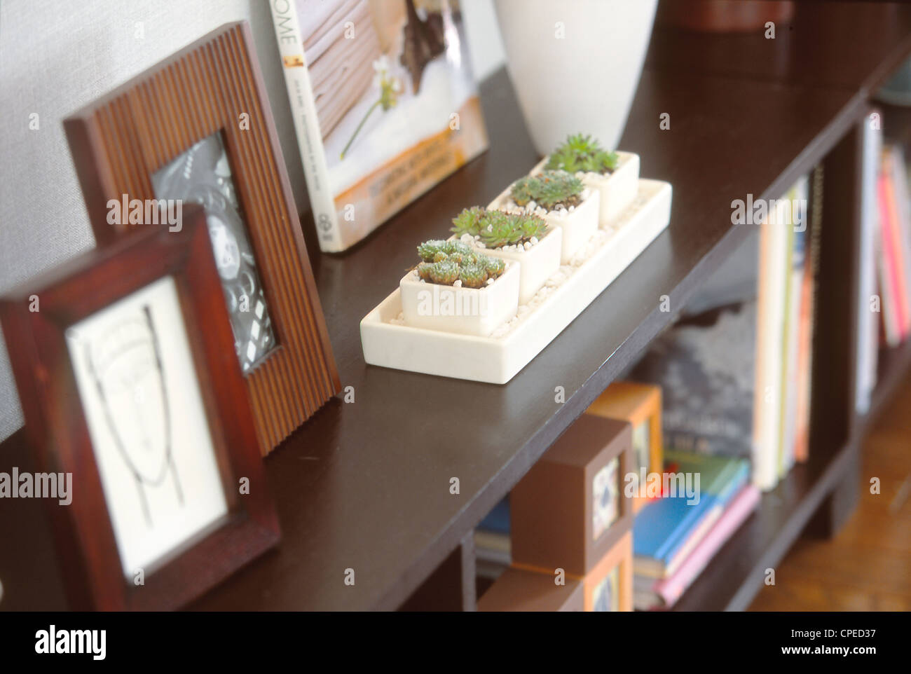 Showcase frame hi-res stock photography and images - Alamy