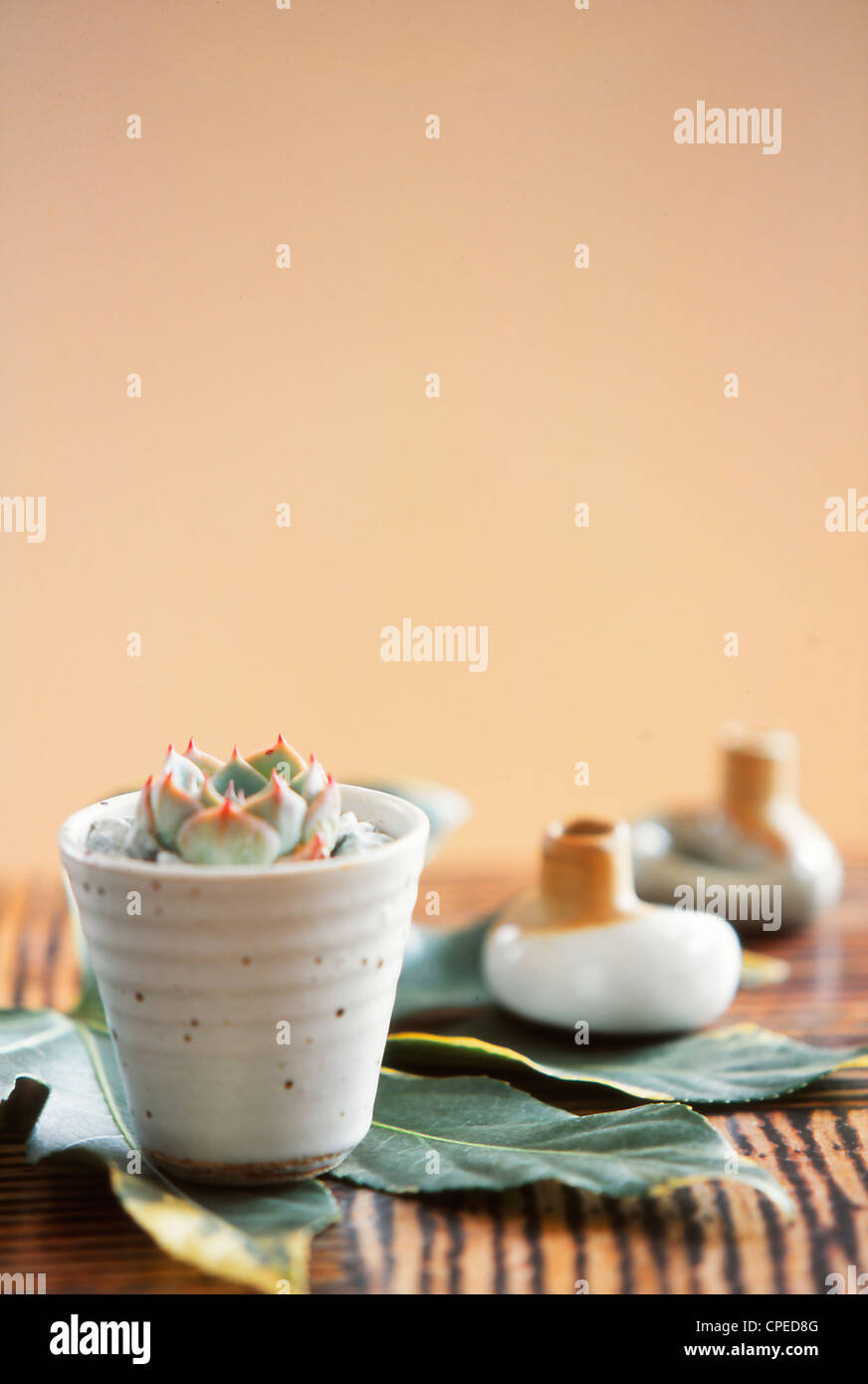 Pot leaf design hi-res stock photography and images - Alamy