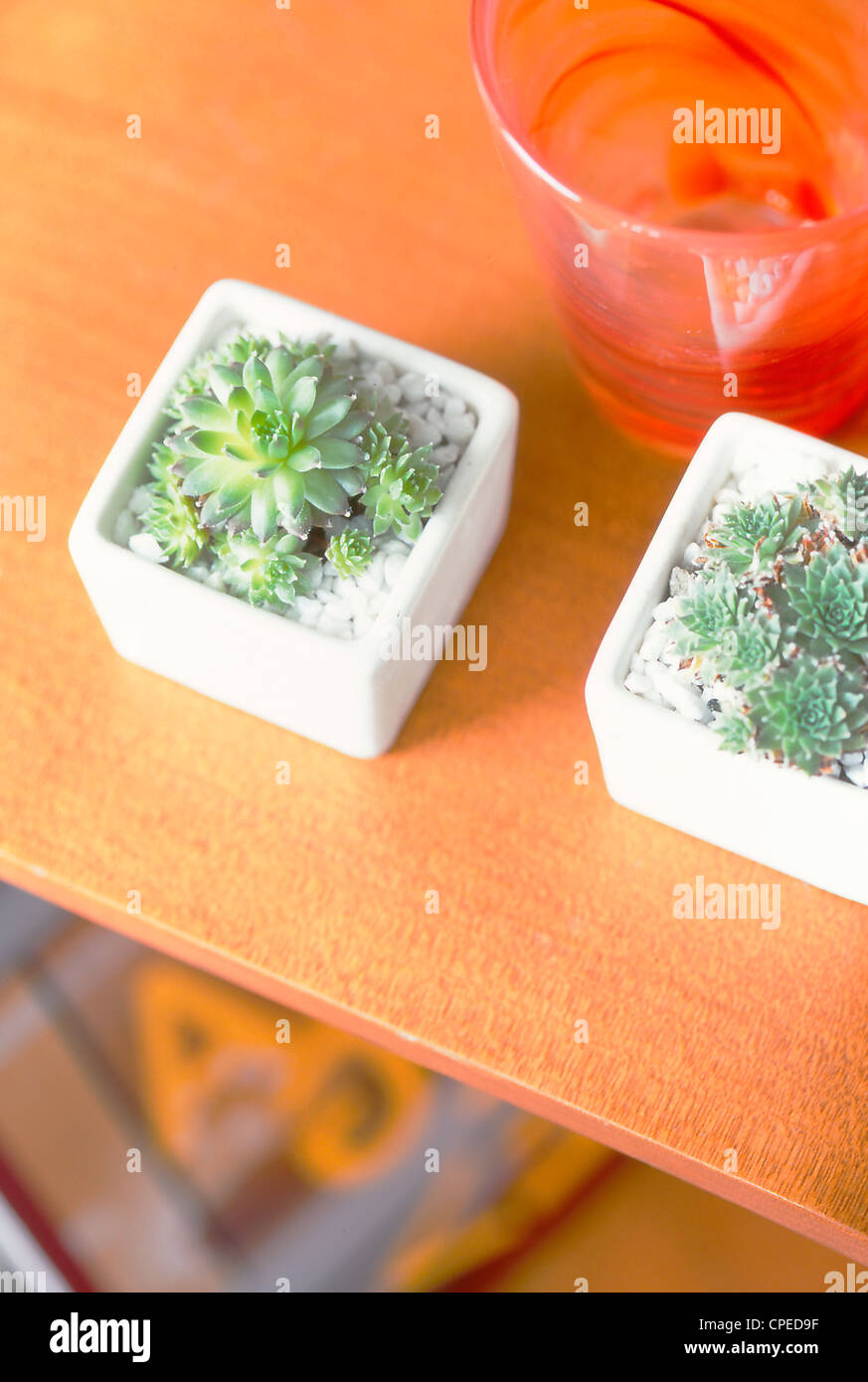 Decorative plant pot hi-res stock photography and images - Alamy