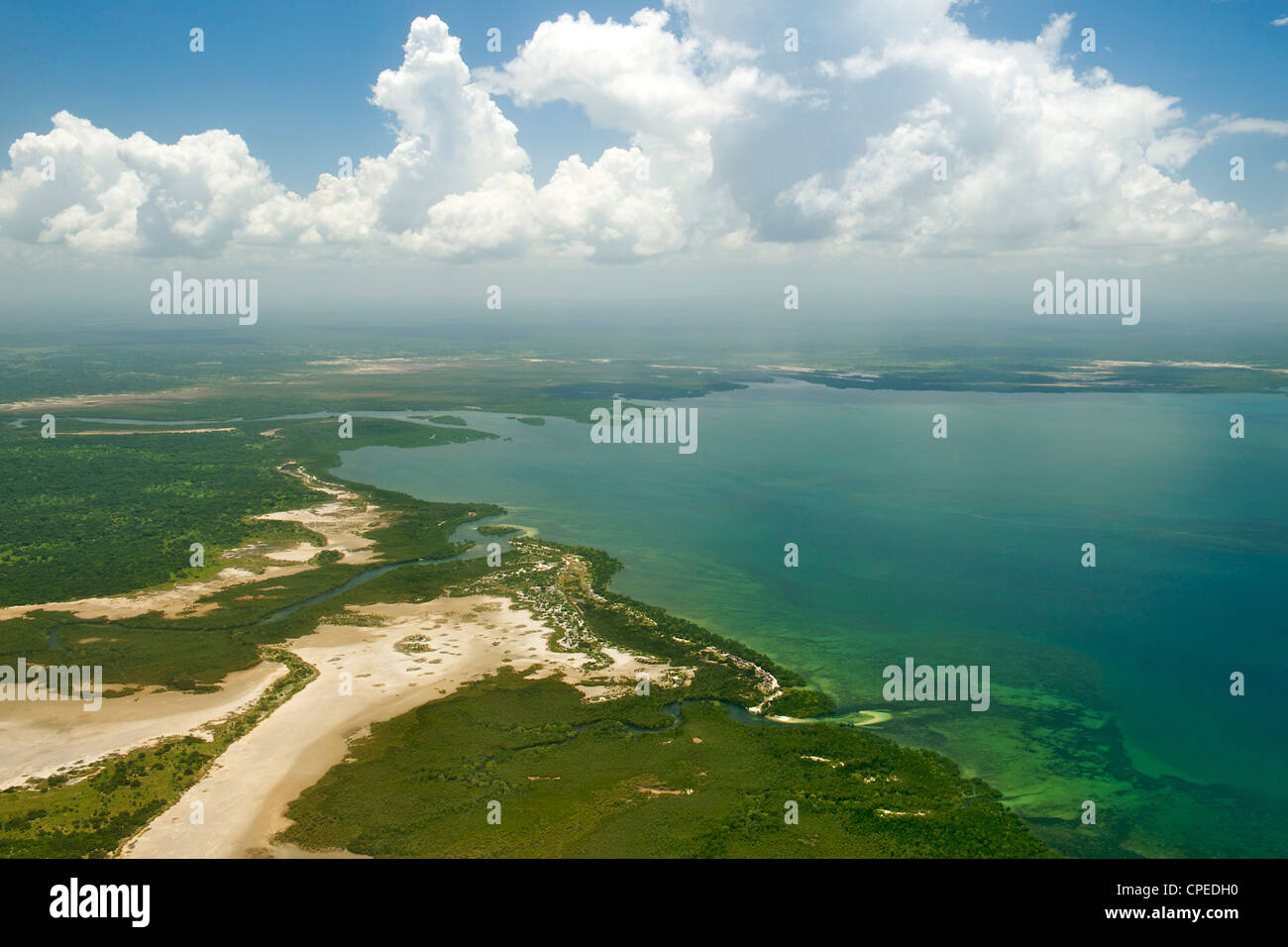 Mangroves along the coast of the Quirimbas National Park in Mozambique ...