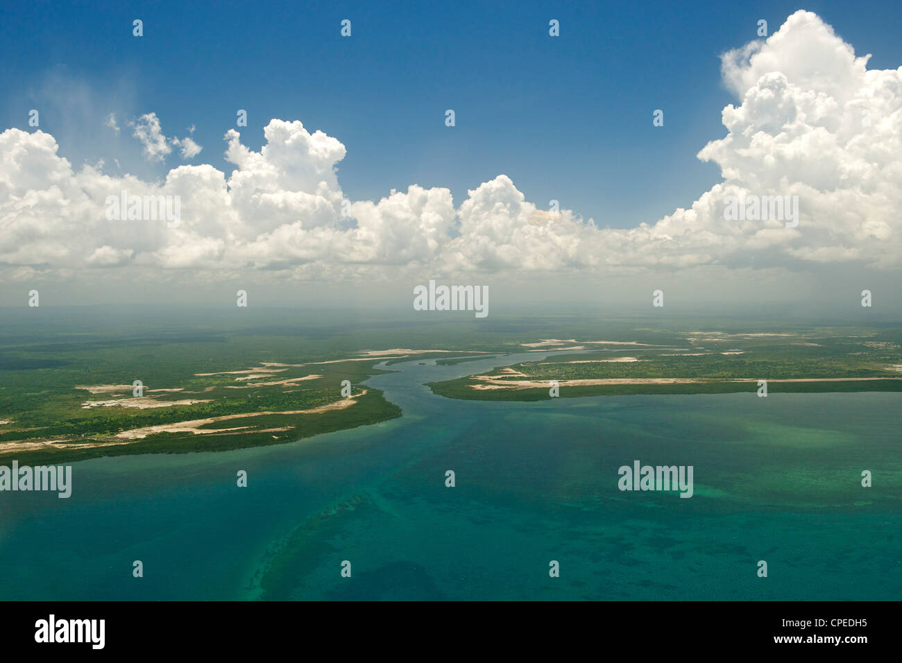 Mangroves along the coast of the Quirimbas National Park in Mozambique ...