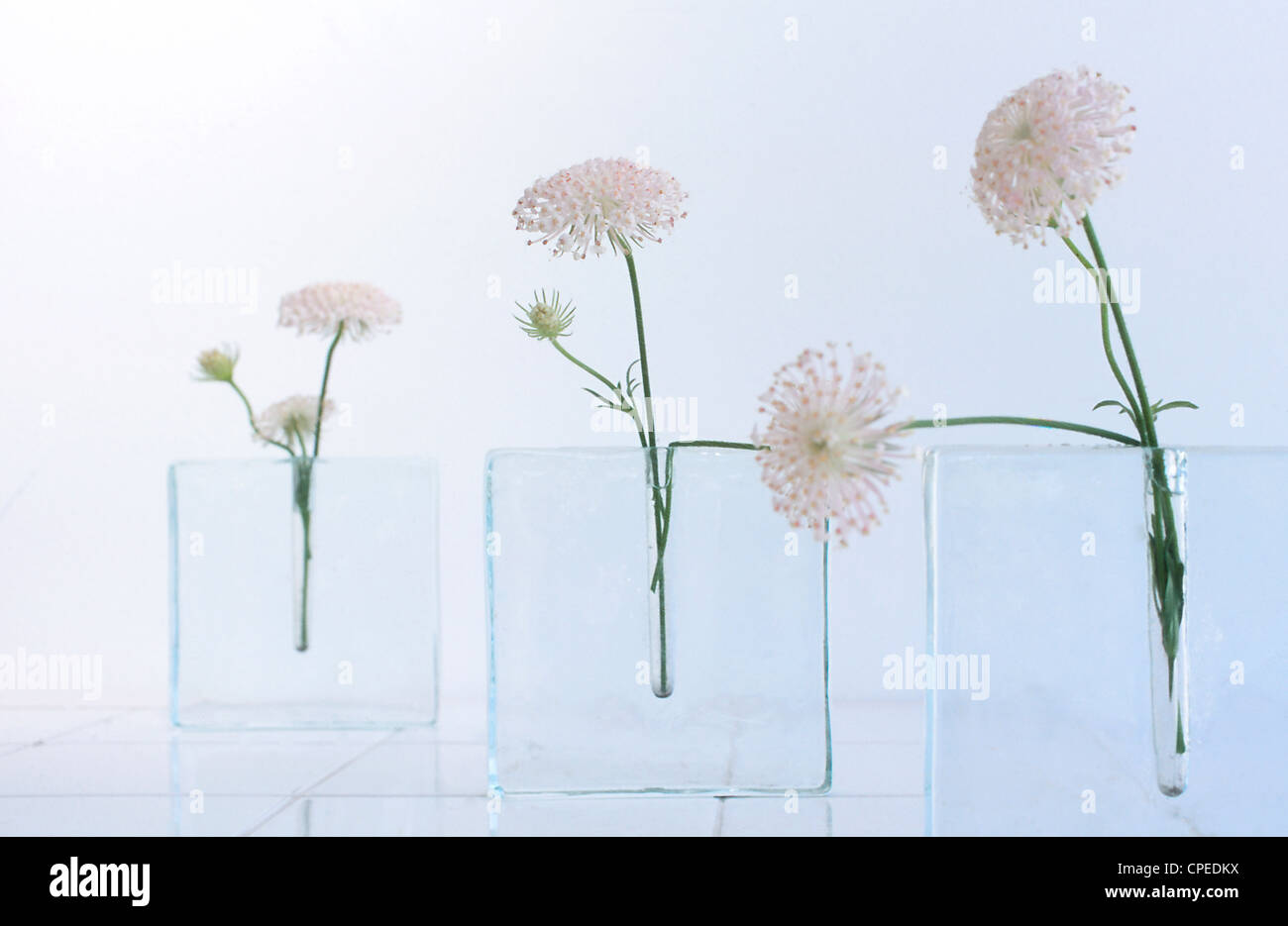 Crystal vases hi-res stock photography and images - Alamy
