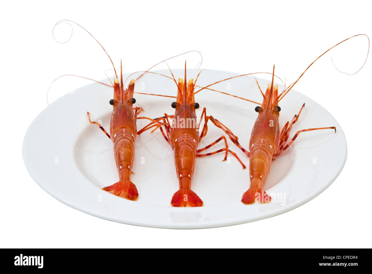 Live Shrimp High Resolution Stock Photography and Images - Alamy