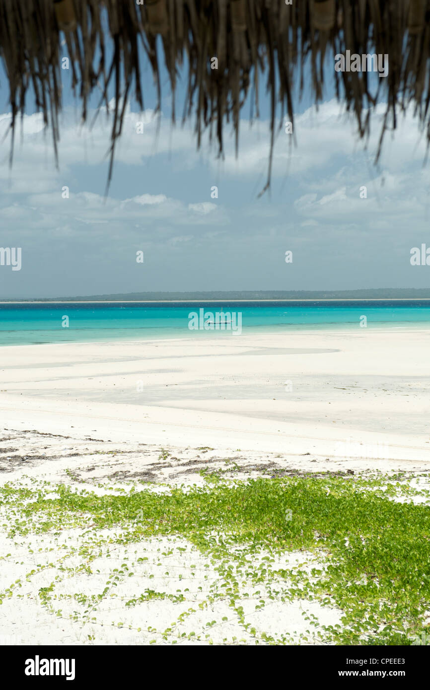 View of the beach and sea at Matemo lodge on Matemo island in the ...