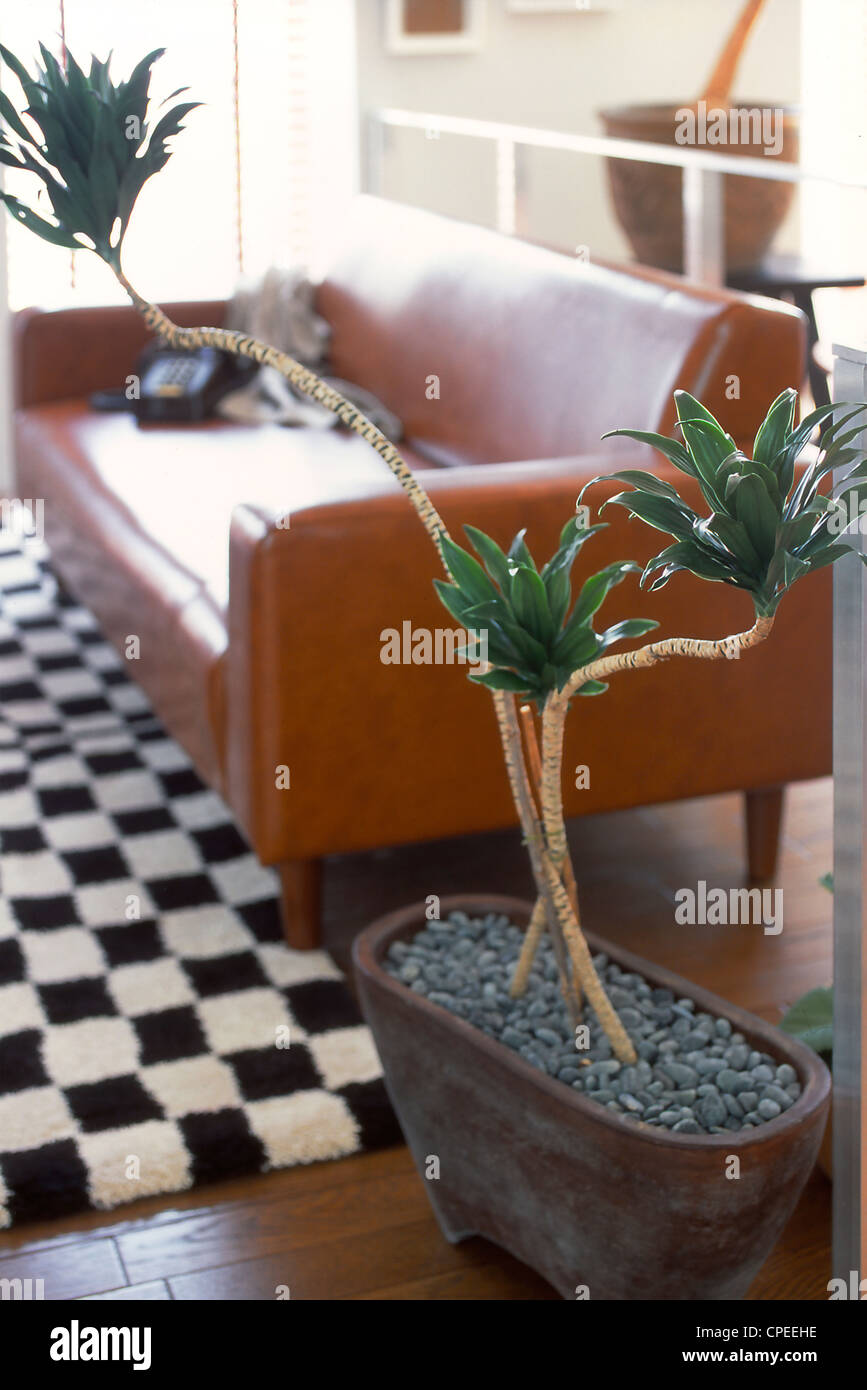 Potted Plant Covered With Pebbles Stock Photo - Alamy