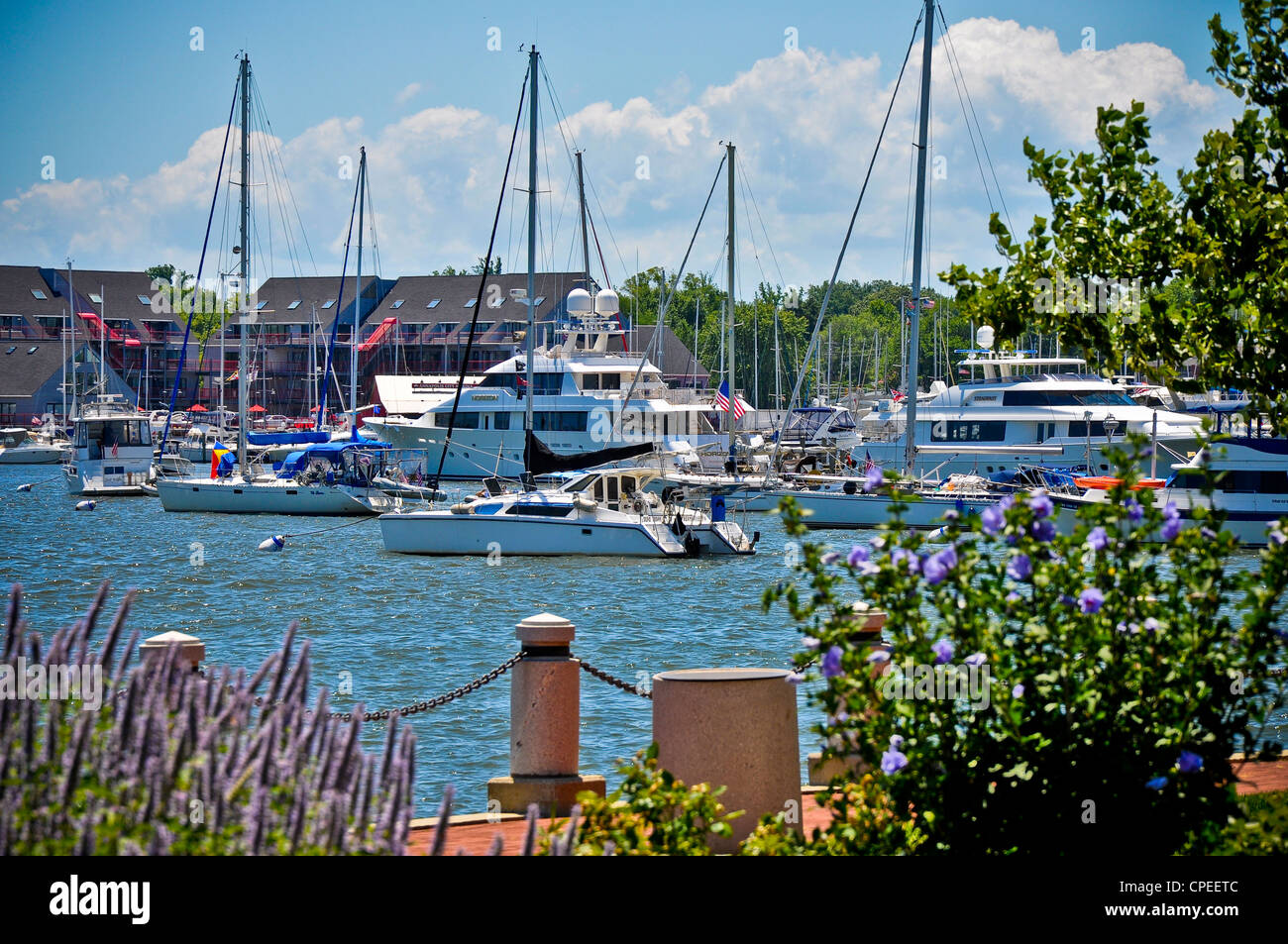 Annapolis boat harbor Stock Photo - Alamy
