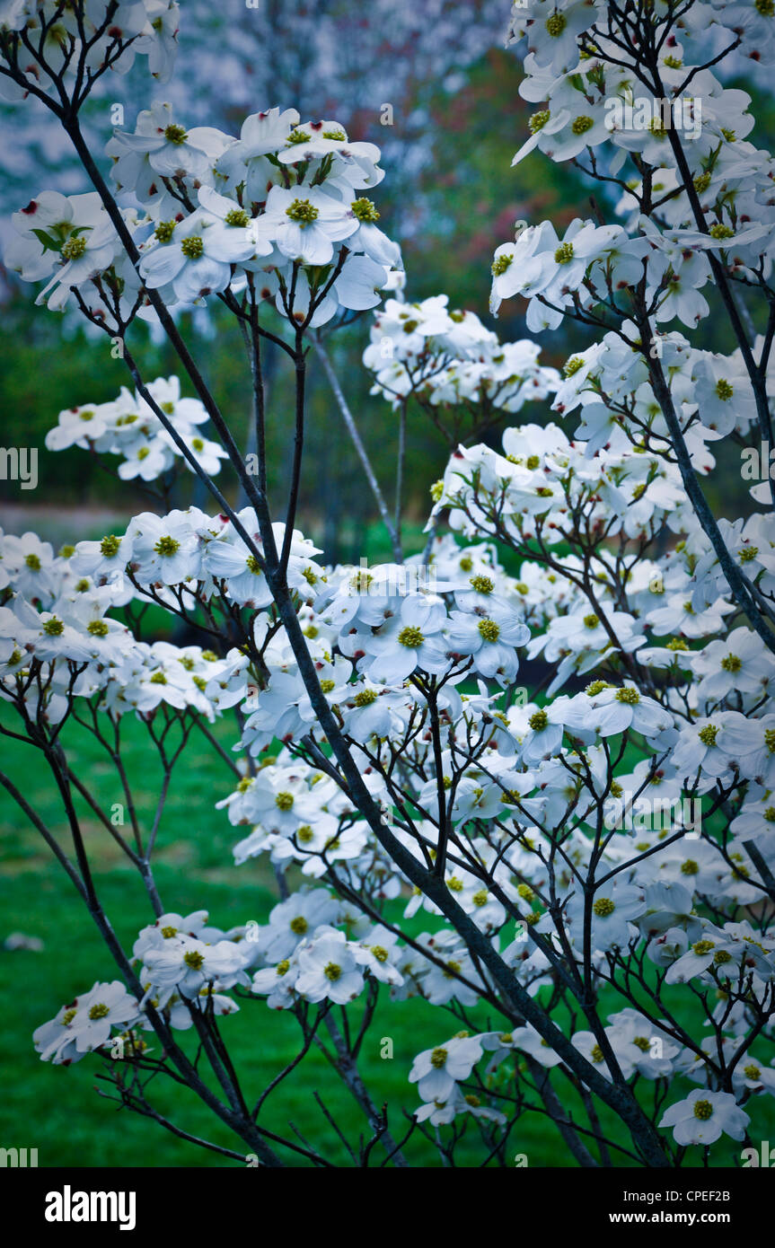 Positive effects of nature hi-res stock photography and images - Alamy