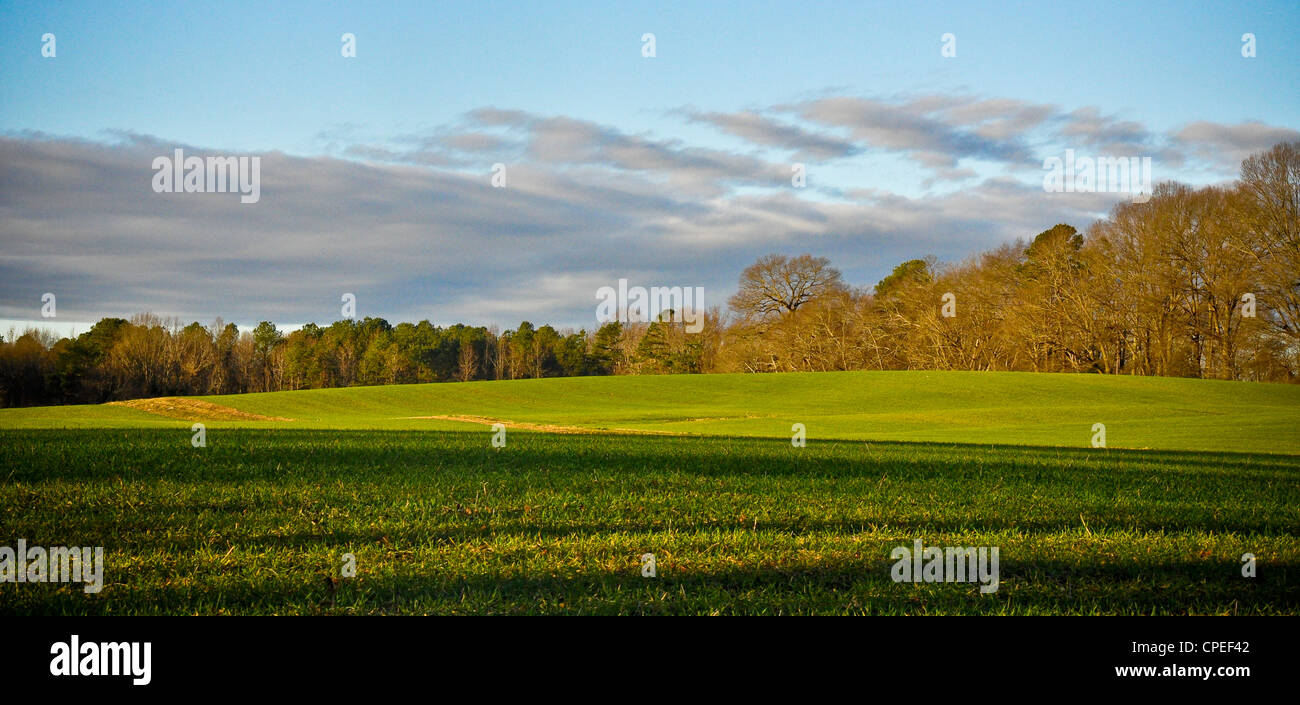 Dreamy hilly landscape hi-res stock photography and images - Alamy