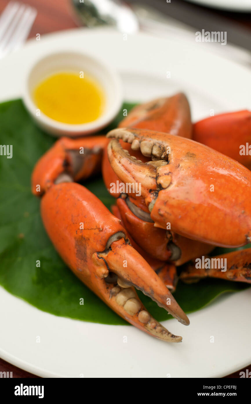 African crab hi-res stock photography and images - Alamy