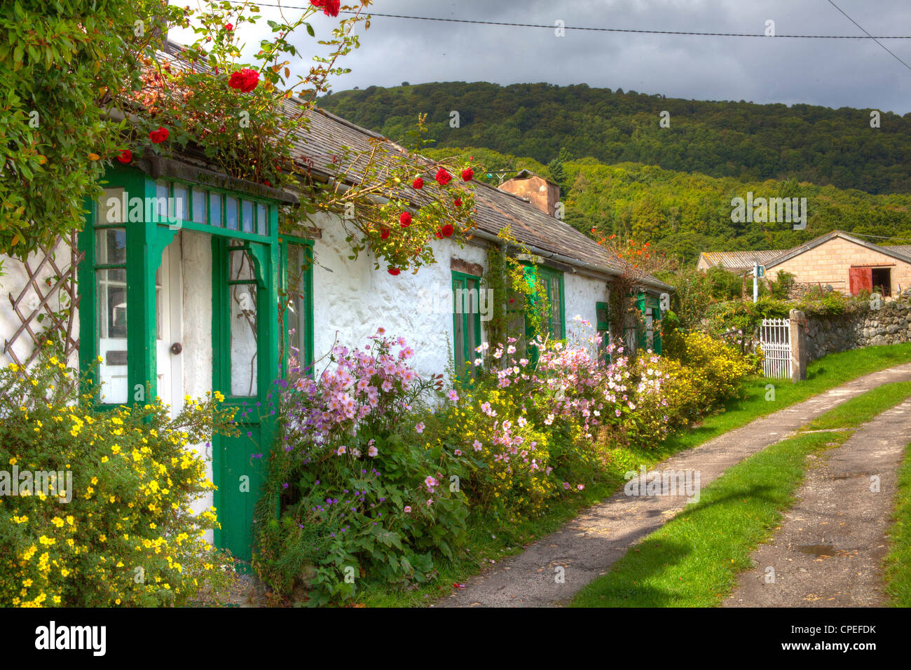 Whitewashed houses with colourful flowers Stock Photo - Alamy