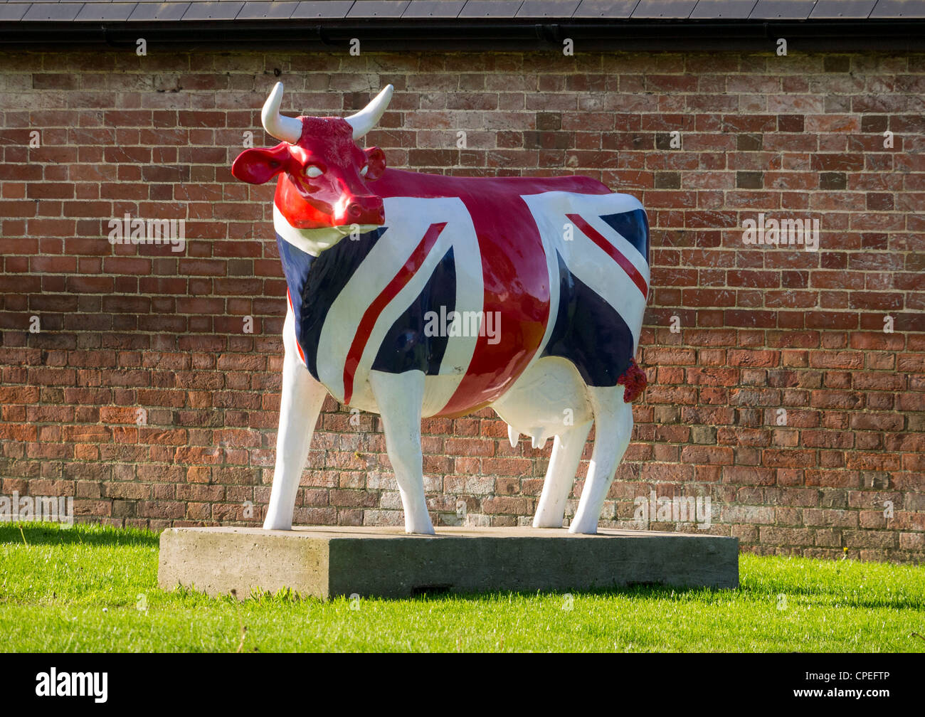 Lifesize statue of a cow painted with a Union Jack outside a farm near ...