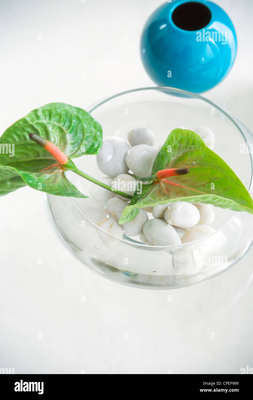 Leaves In Glass Pot Covered With Pebbles Stock Photo - Alamy
