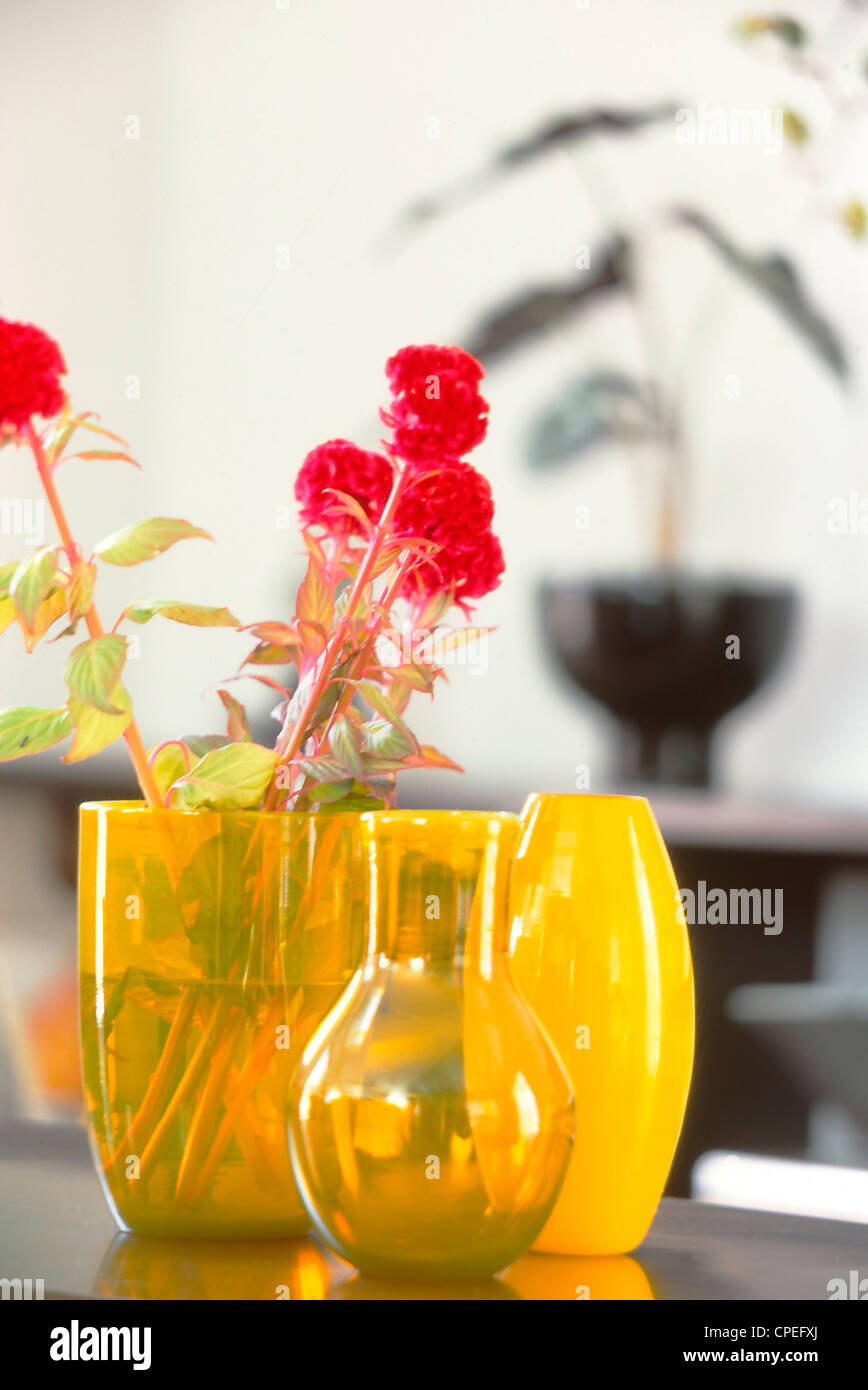 Showcase of flowers hi-res stock photography and images - Alamy