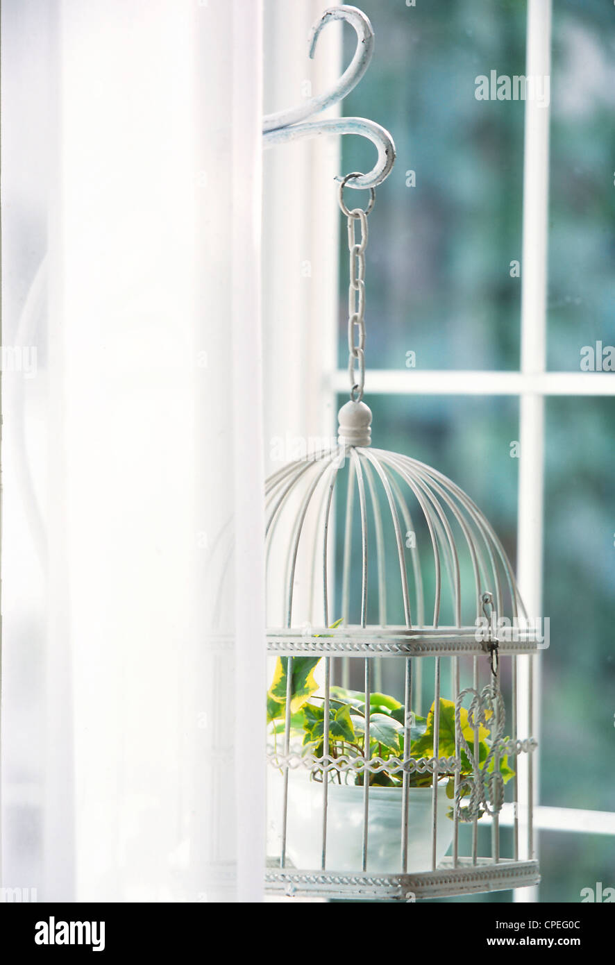 Hanging Plant Pot Near Window Stock Photo - Alamy