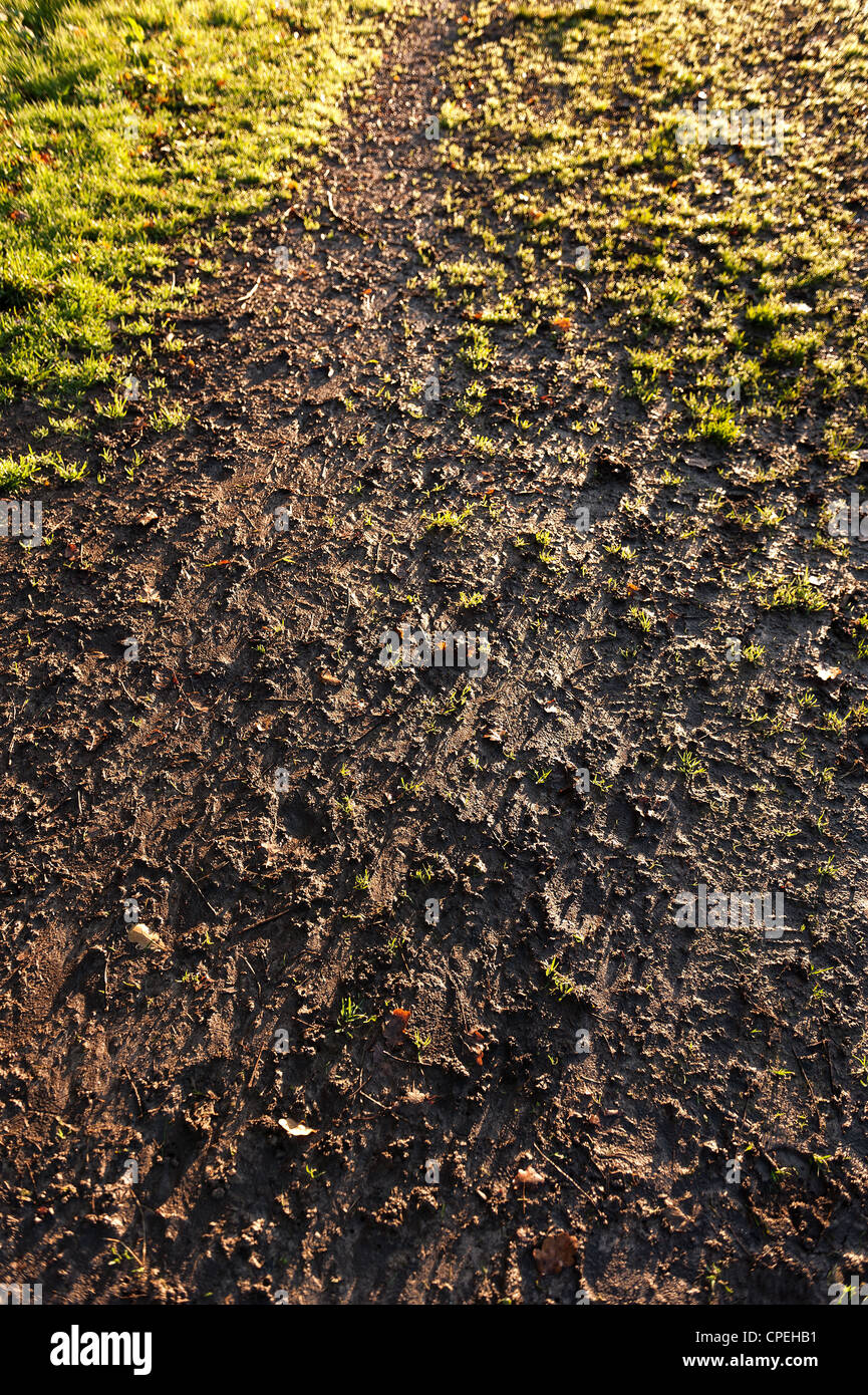 Mud erosion on chalkland footpath near forest due to walkers ramblers ...
