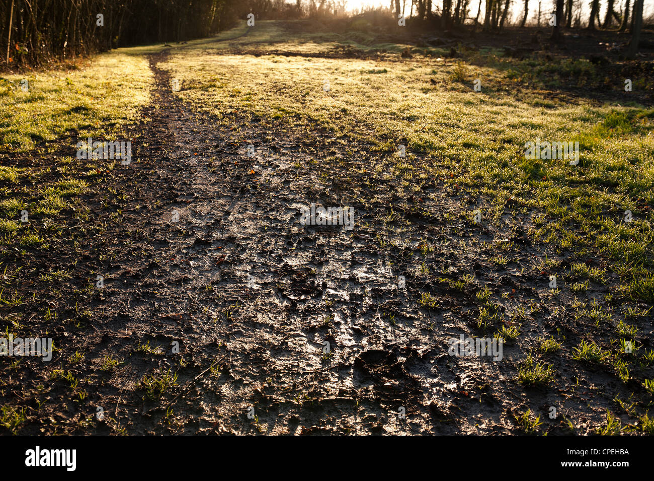 Foot path in mud hi-res stock photography and images - Alamy