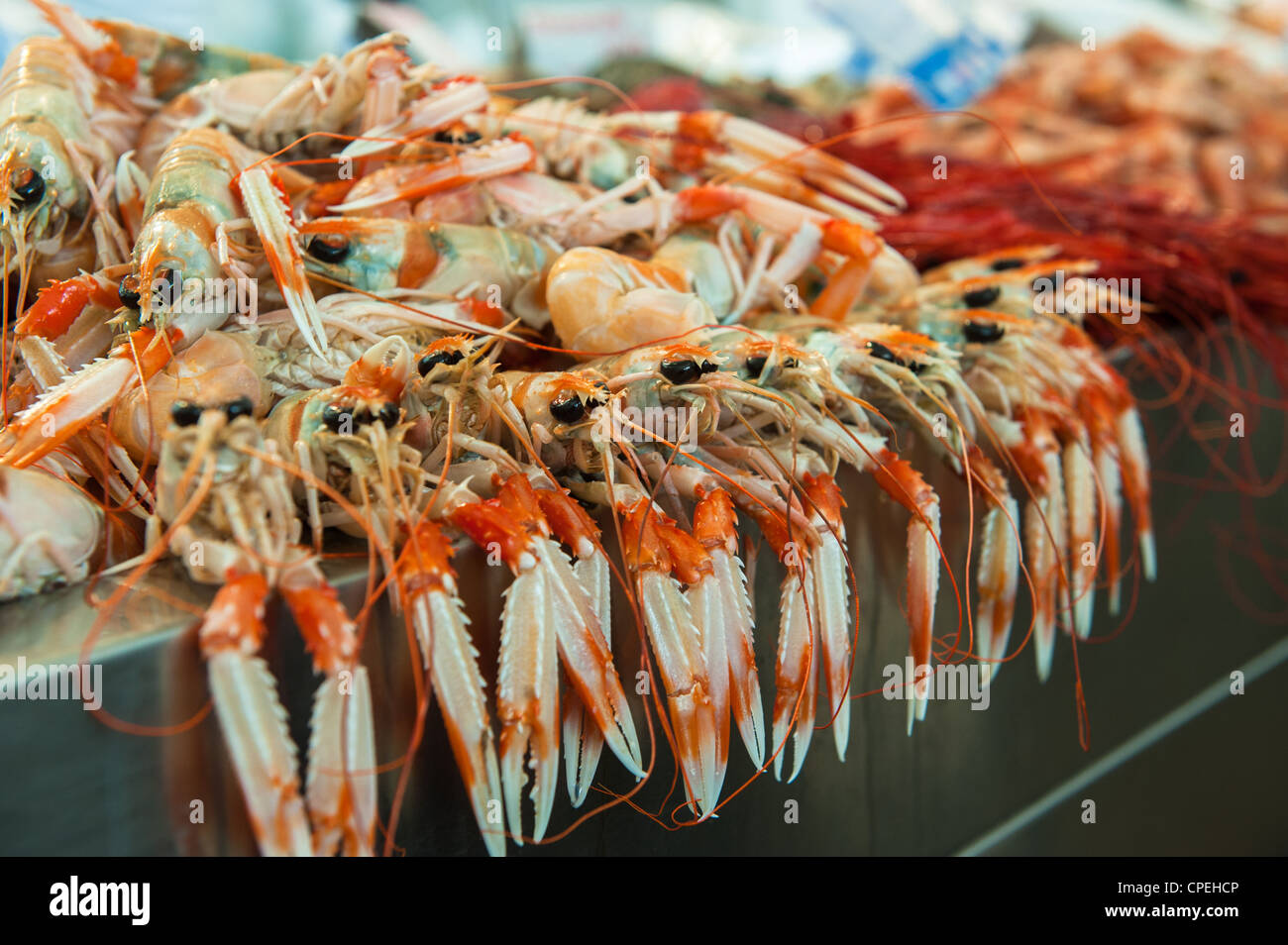 Langoustine hi-res stock photography and images - Alamy