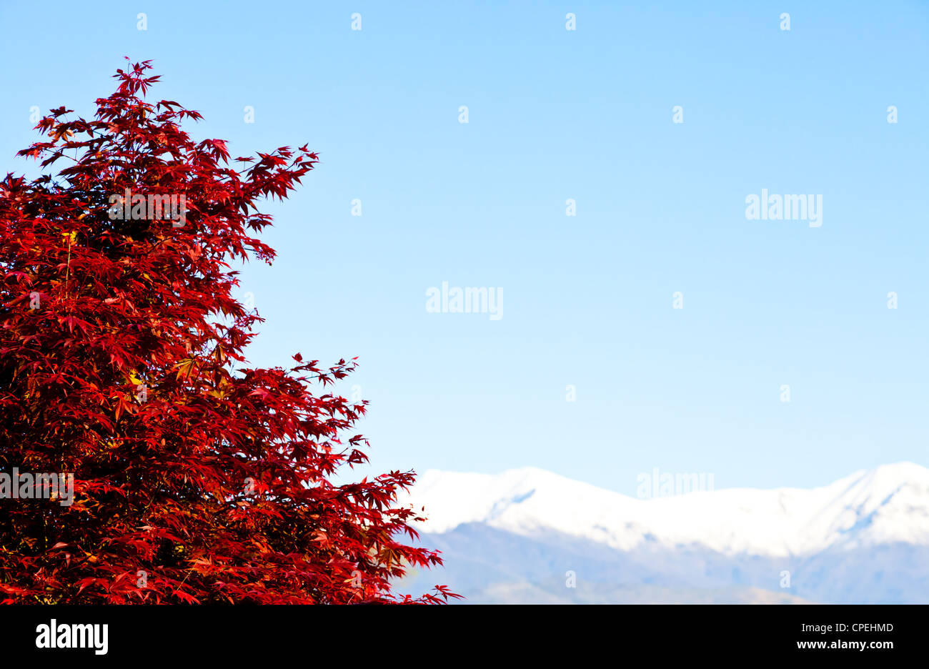 Italian Piemonte Alps on background; copy space Stock Photo - Alamy