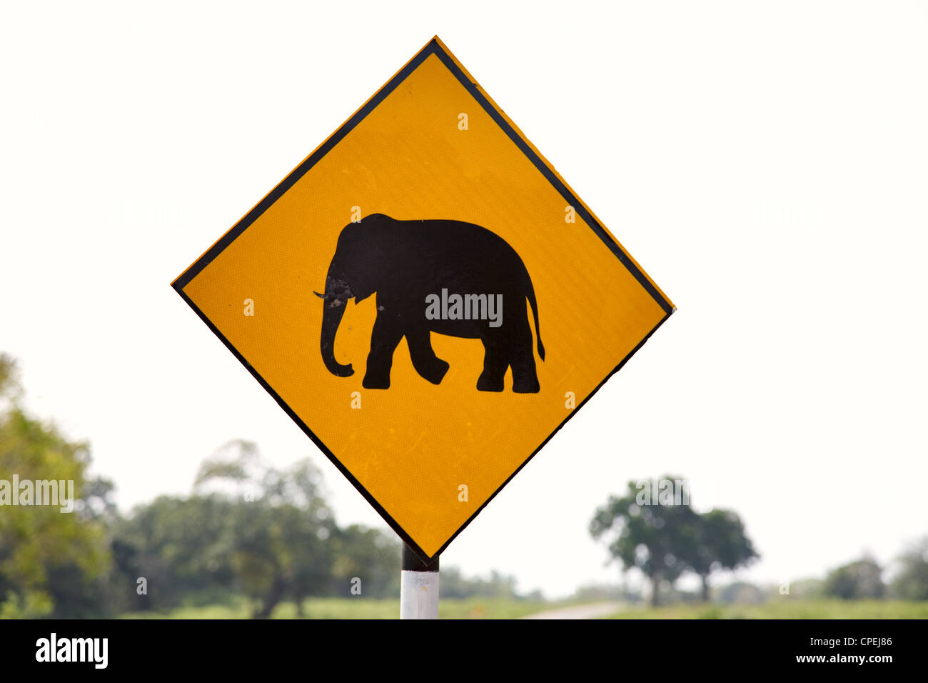 Elephant road sign hi-res stock photography and images - Alamy