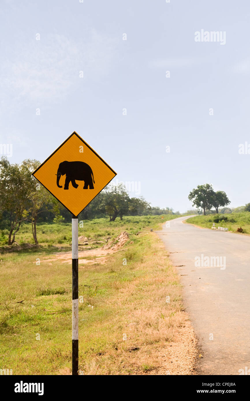 Elephant road sign hi-res stock photography and images - Alamy