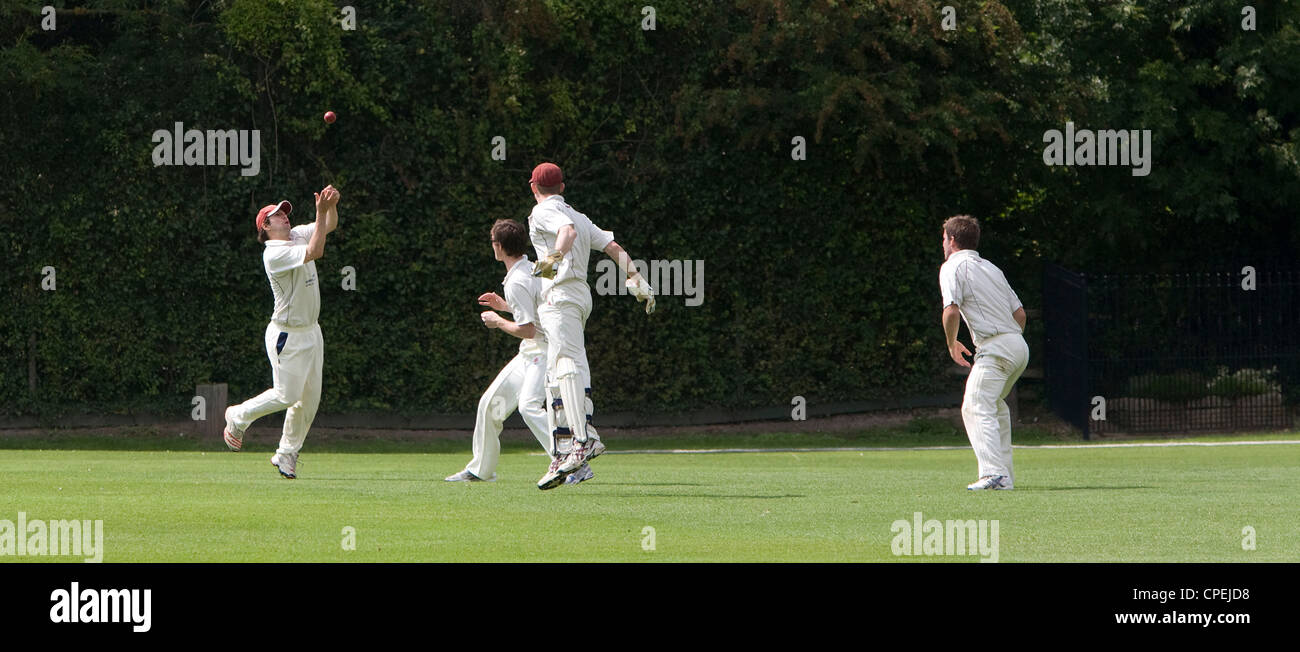 Local Cricket match in Southern England. Picture by James Boardman ...