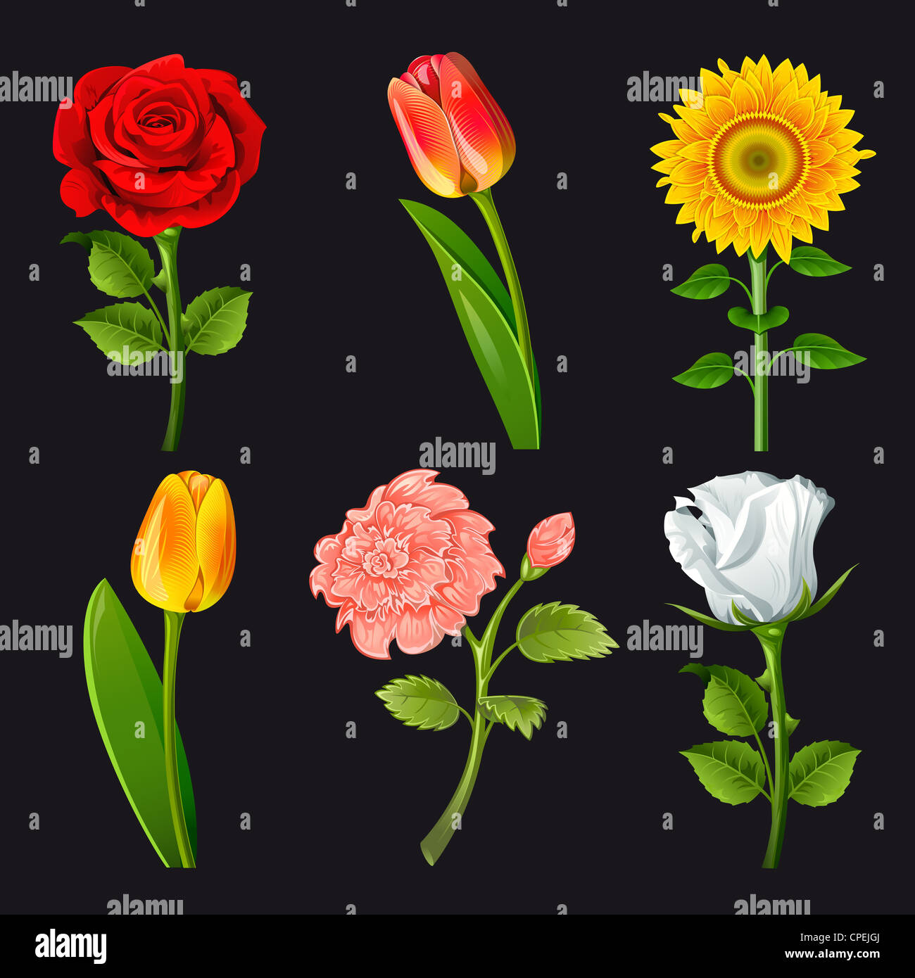 Collection of flowers of different colors Stock Photo - Alamy