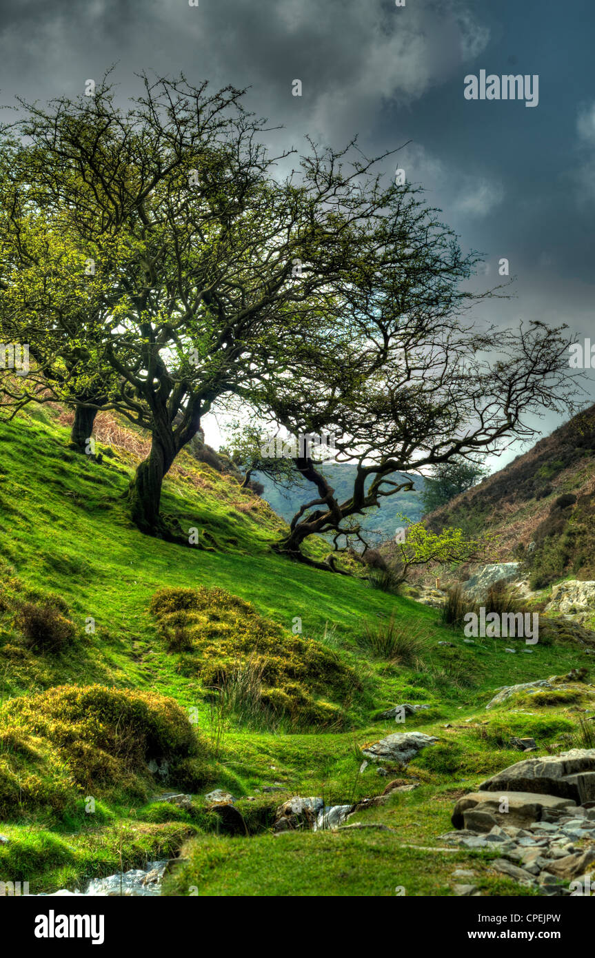Waterfall on Long Mynd, Church Stretton Stock Photo - Alamy