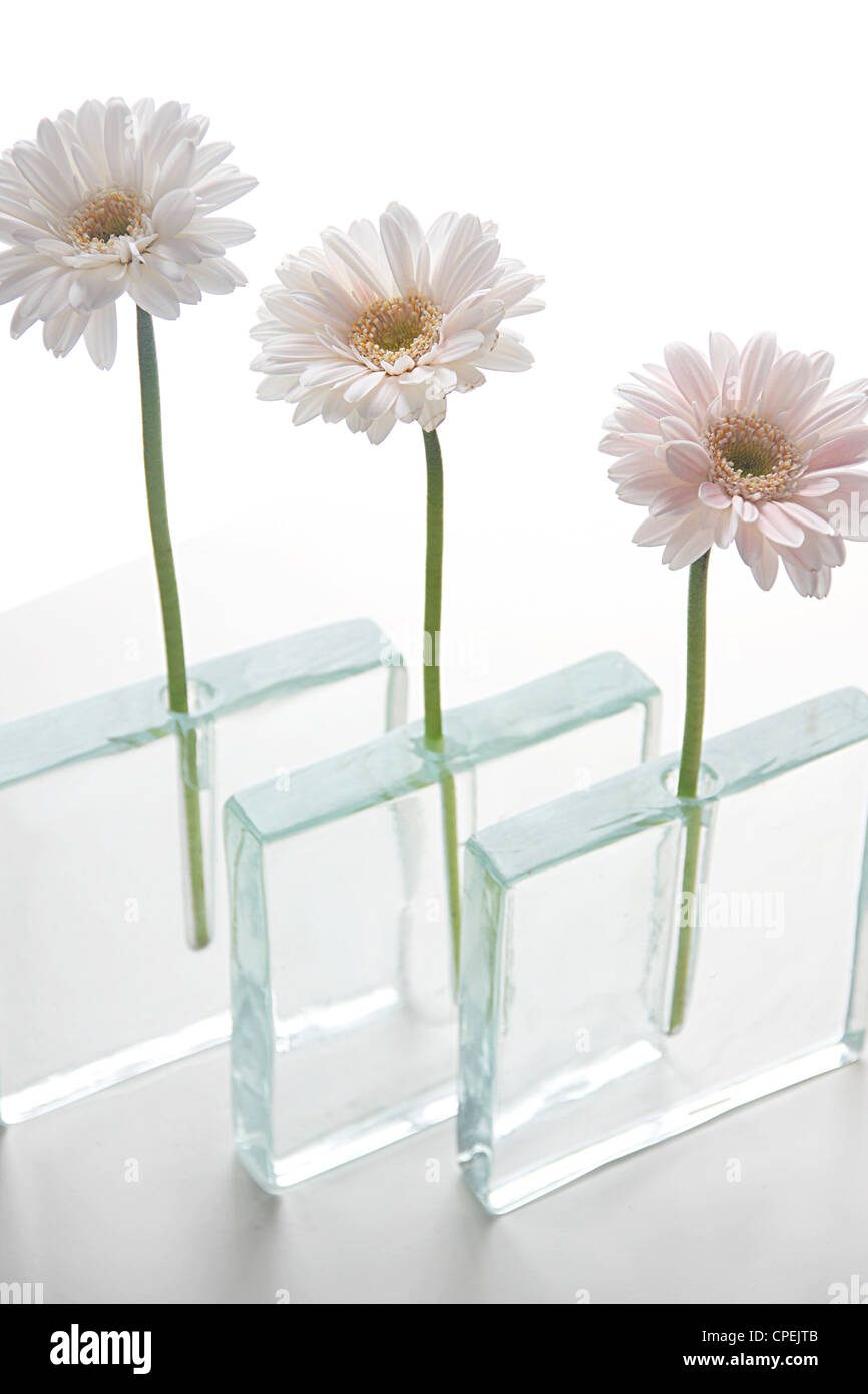 Crystal vase hi-res stock photography and images - Alamy