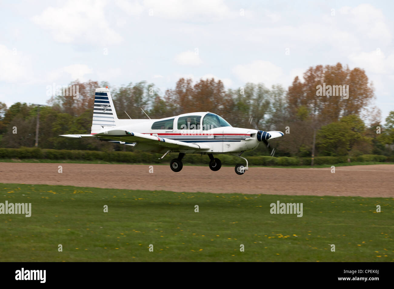 Wing the cheetah hi-res stock photography and images - Alamy