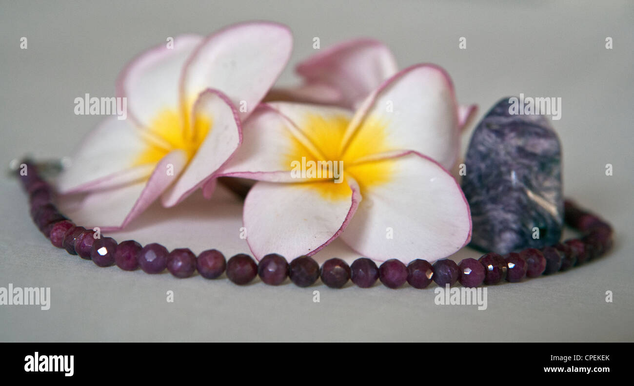 Araliya flowers hi-res stock photography and images - Alamy