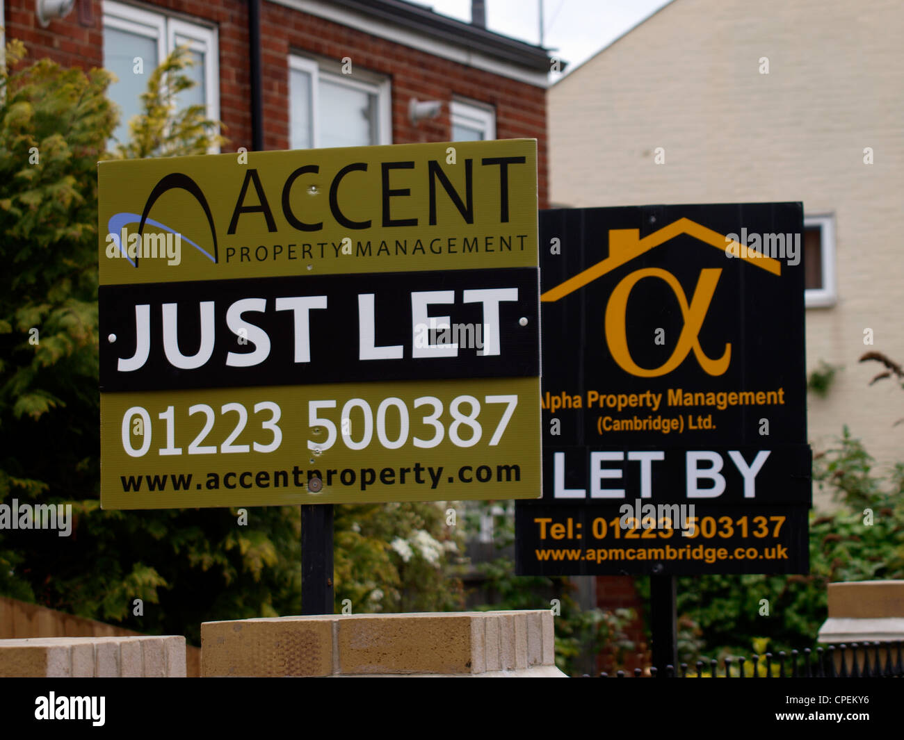 Properties let signs, Cambridge, UK Stock Photo - Alamy