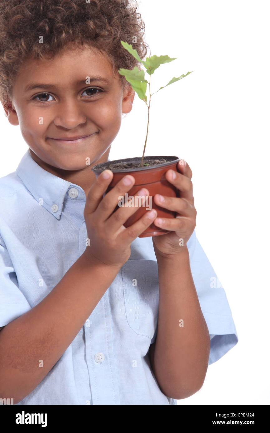 Little boy holding plant pot Stock Photo - Alamy