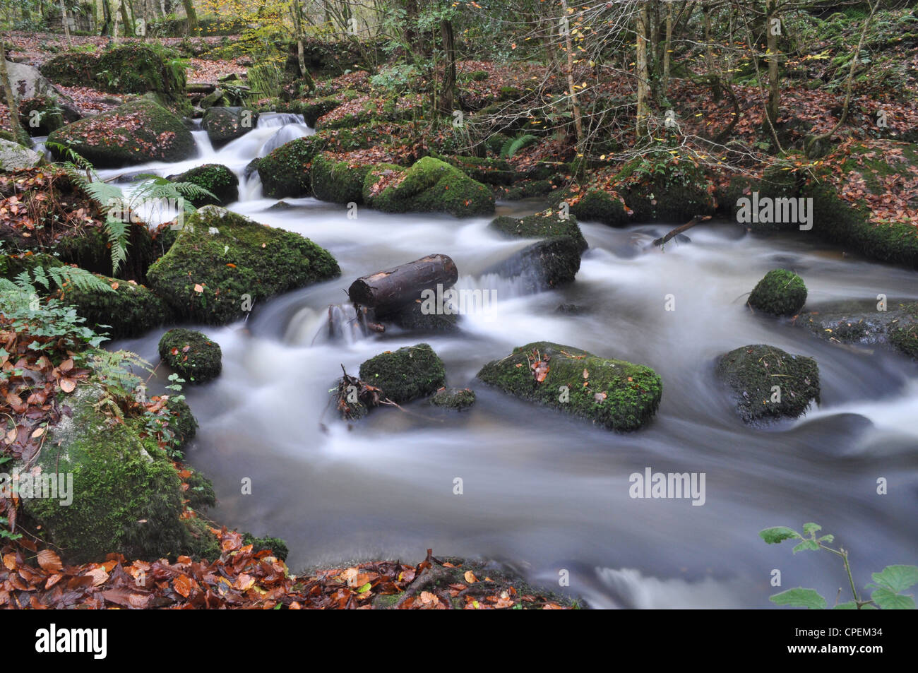 Kennall vale with the river kennall shown here Stock Photo - Alamy