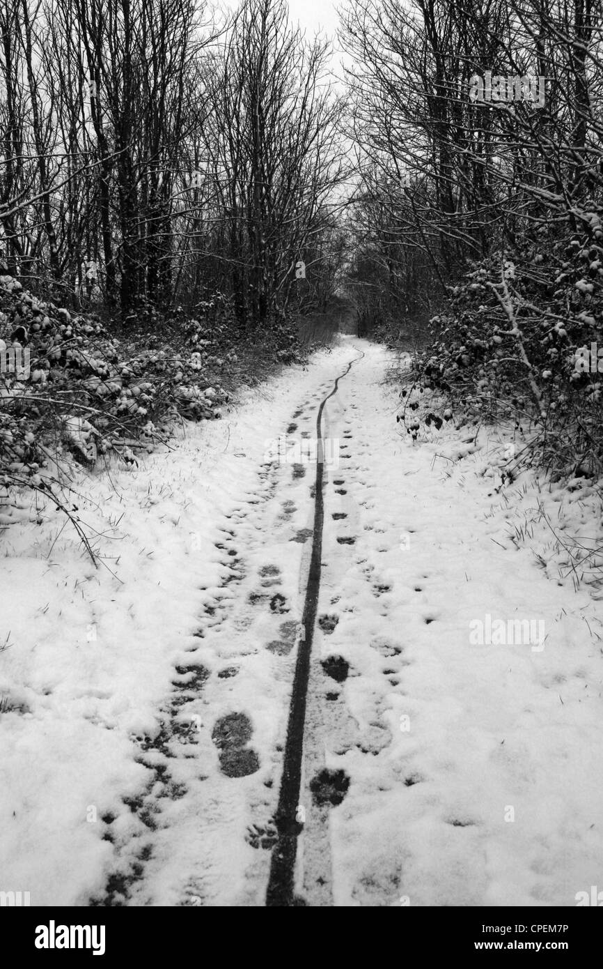 Footprints in a snowy pathway Stock Photo - Alamy