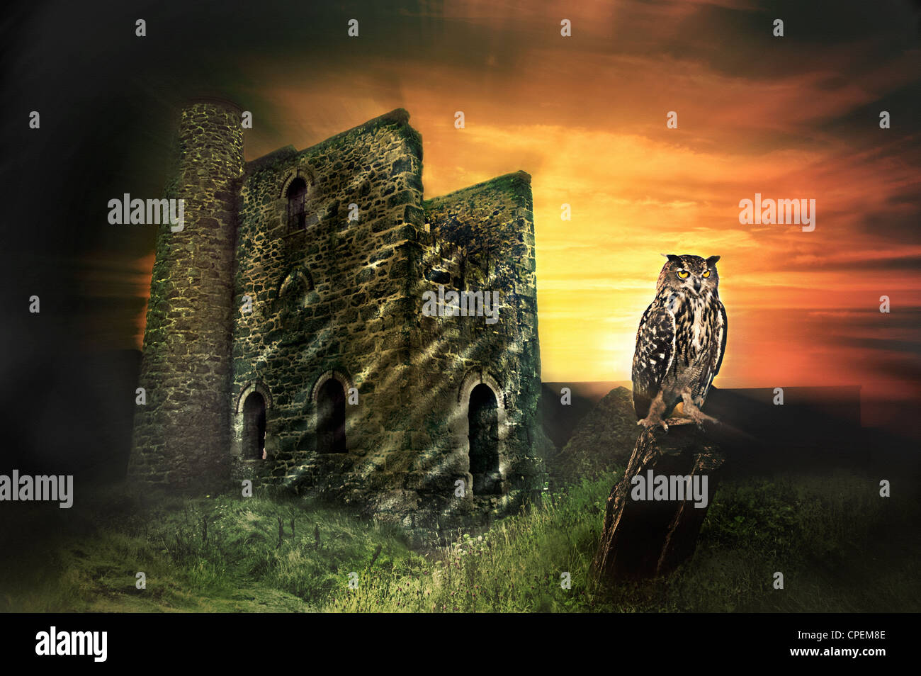 Spooky abandoned tin mine the middle of nowhere with owl sitting on ...