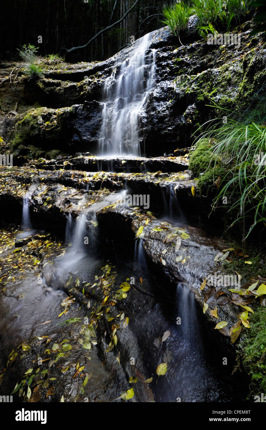 Waterfall And Fallen Leaves Stock Photo - Alamy