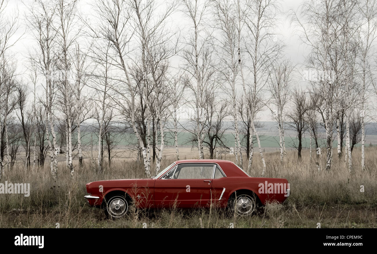 Beautiful Ford Mustang in Siberian wilderness Stock Photo - Alamy
