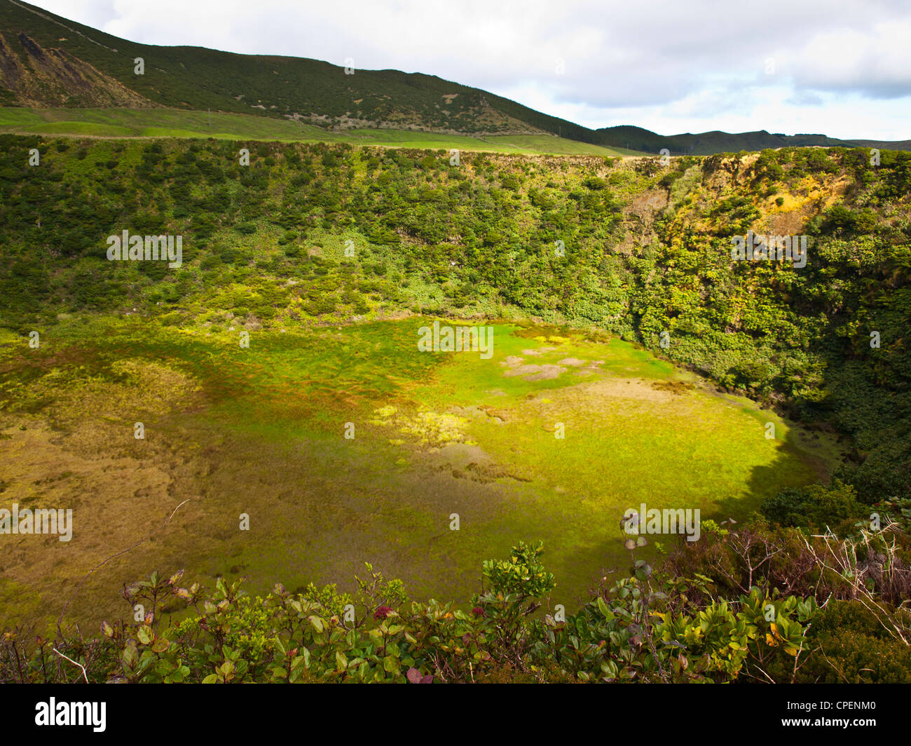 Dry lake in Flores island Azores Stock Photo - Alamy